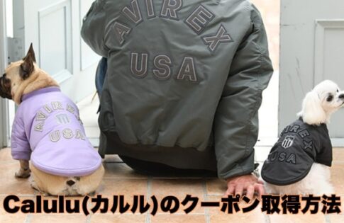 Calulu(カルル)犬服の口コミは？特徴・魅力・ちょっと残念な点まで徹底紹介 | ヤバインテリア