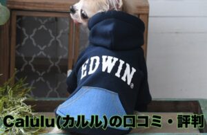 Calulu(カルル)犬服の口コミは？特徴・魅力・ちょっと残念な点まで徹底紹介 | ヤバインテリア
