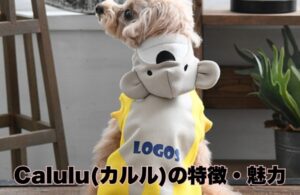 Calulu(カルル)犬服の口コミは？特徴・魅力・ちょっと残念な点まで徹底紹介 | ヤバインテリア